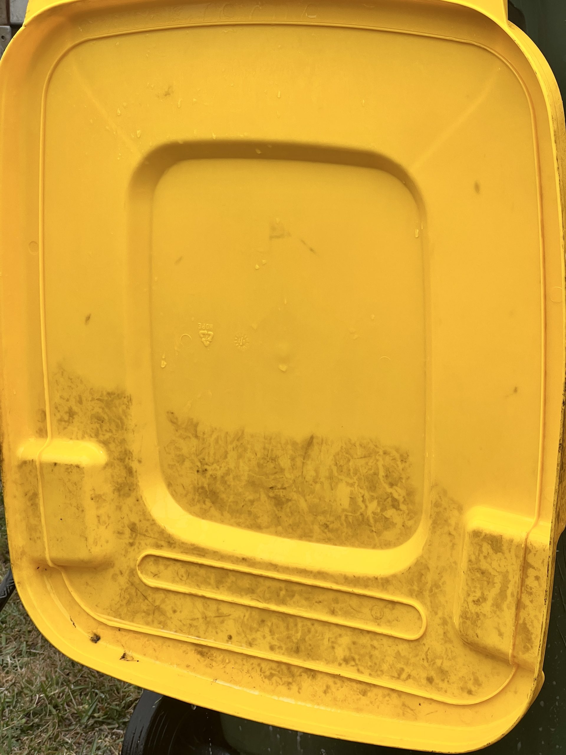 Wombat's Bin Spa – Bin Cleaning | Colac and Surrounds